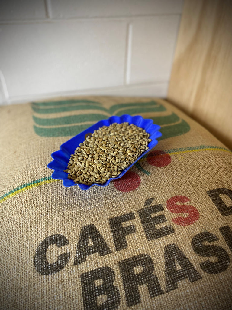 Green Coffee Beans- Brazil Samba Reserve